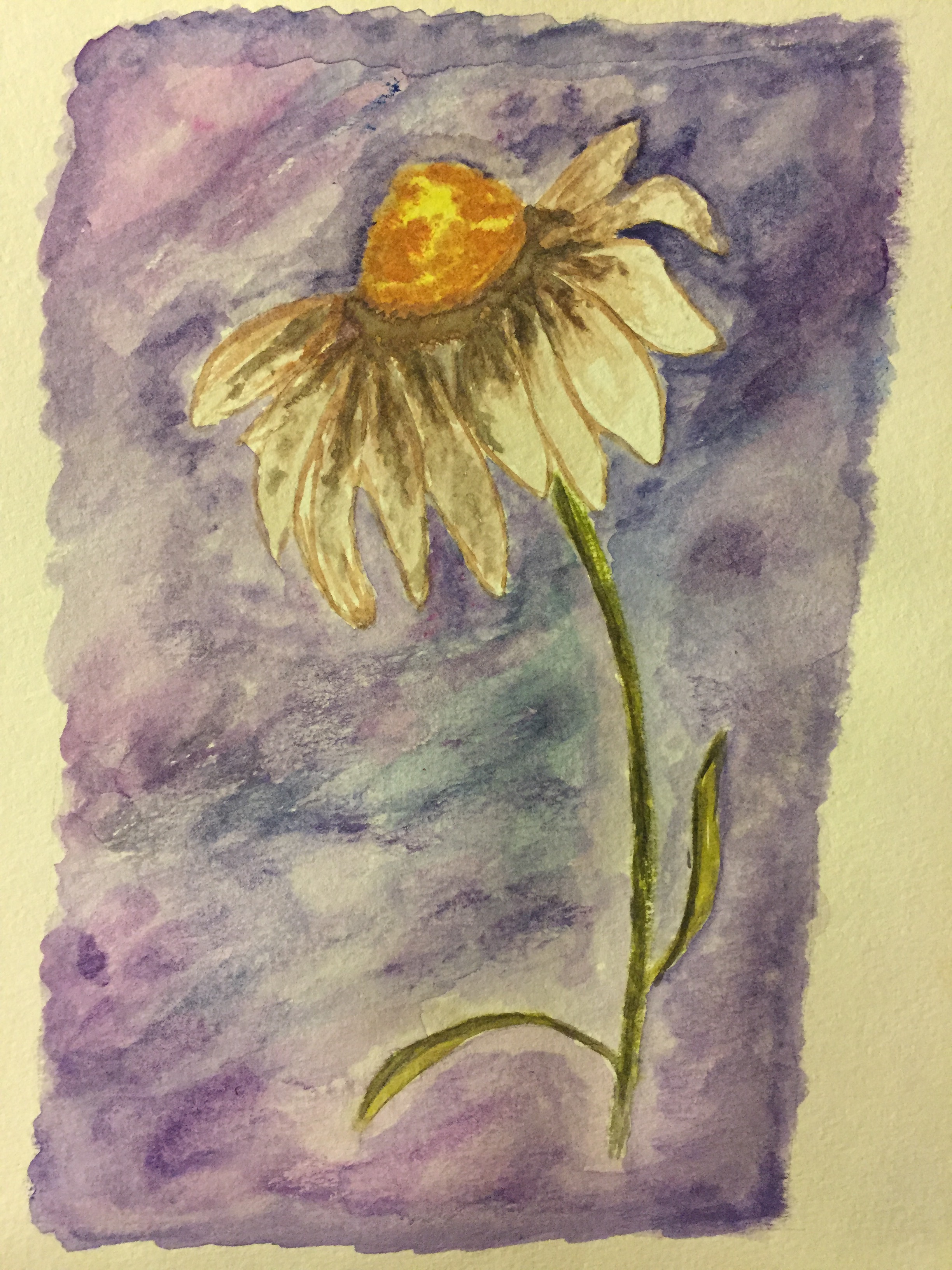 Fading Daisy – rhythmandthedancer